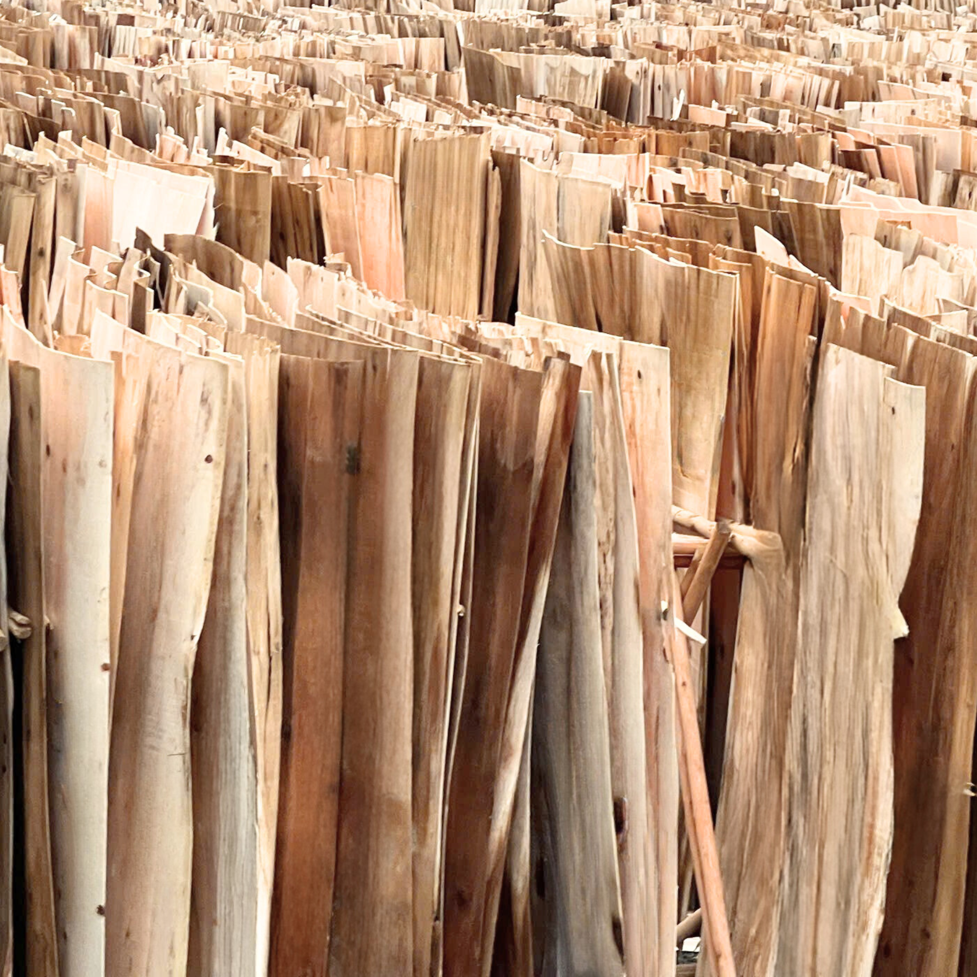 Hình ảnh sản phẩm và nhà máy sản xuất ván bóc | Navy Wood - Navy Wood